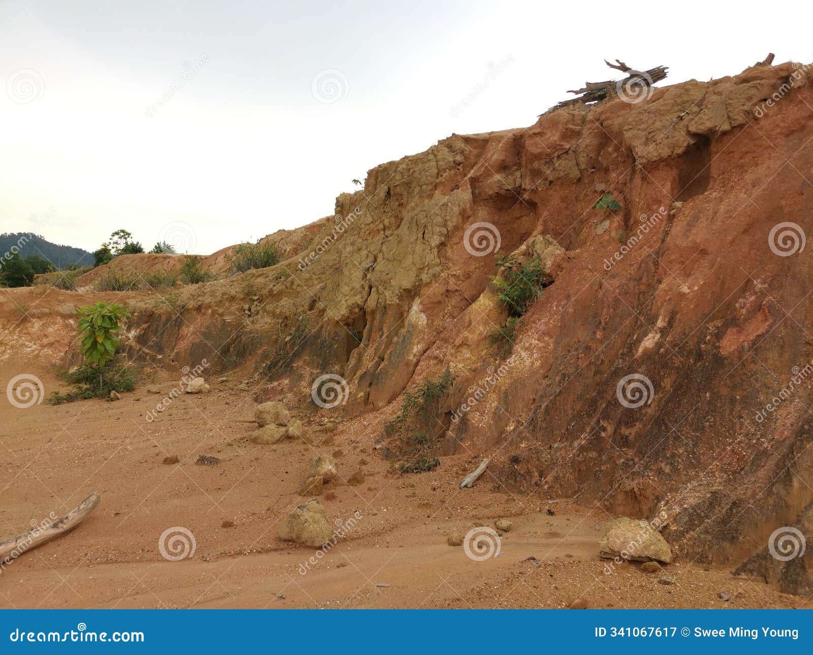 Environment Scene Around the Soil Texture and Pattern of the Limestone ...