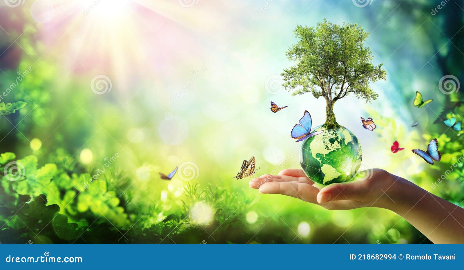 Environment - Tree Growth on Planet in Green Forest Stock Photo - Image ...