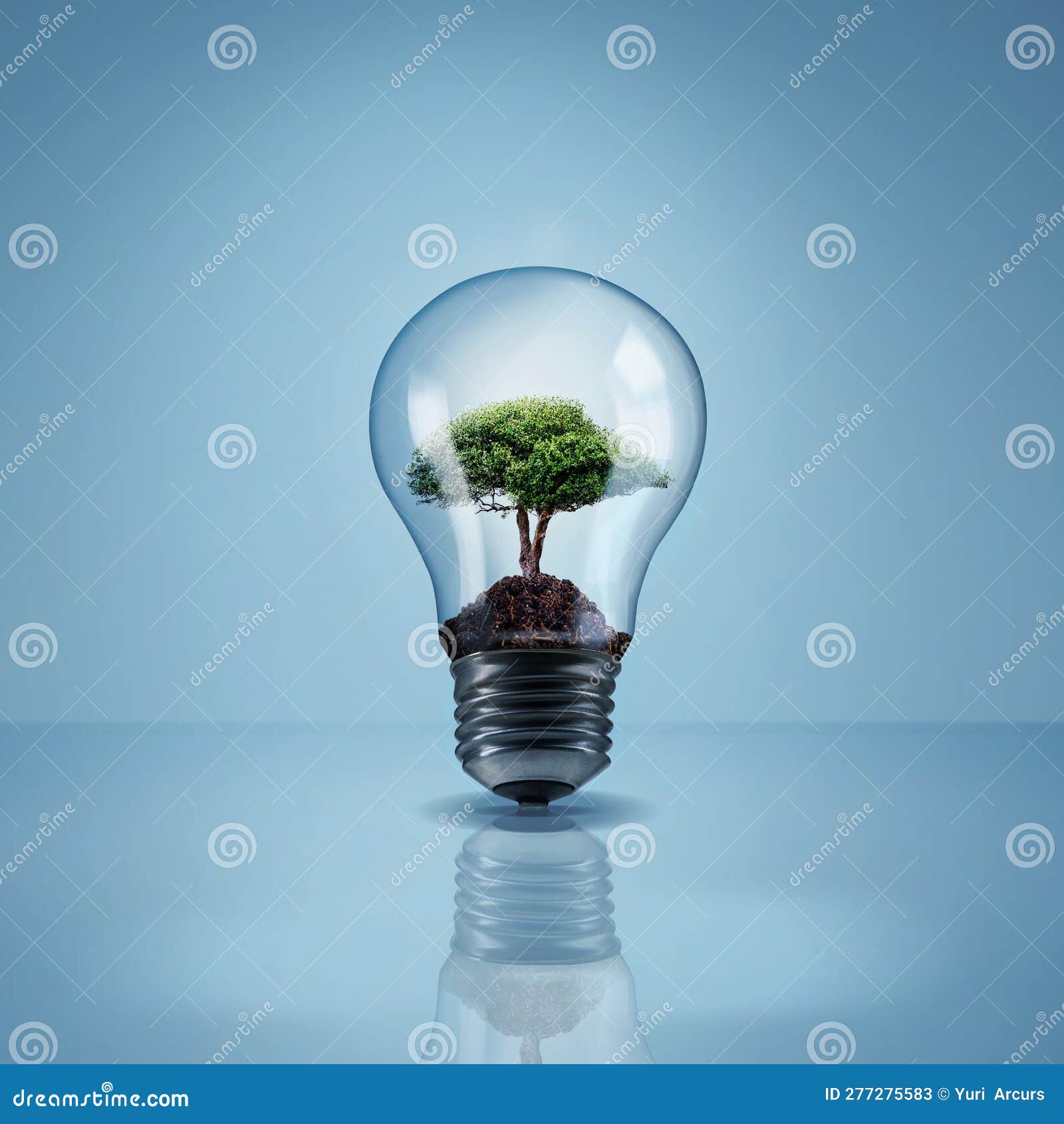Environment, Tree in Light Bulb and Save Energy, Eco Friendly and ...