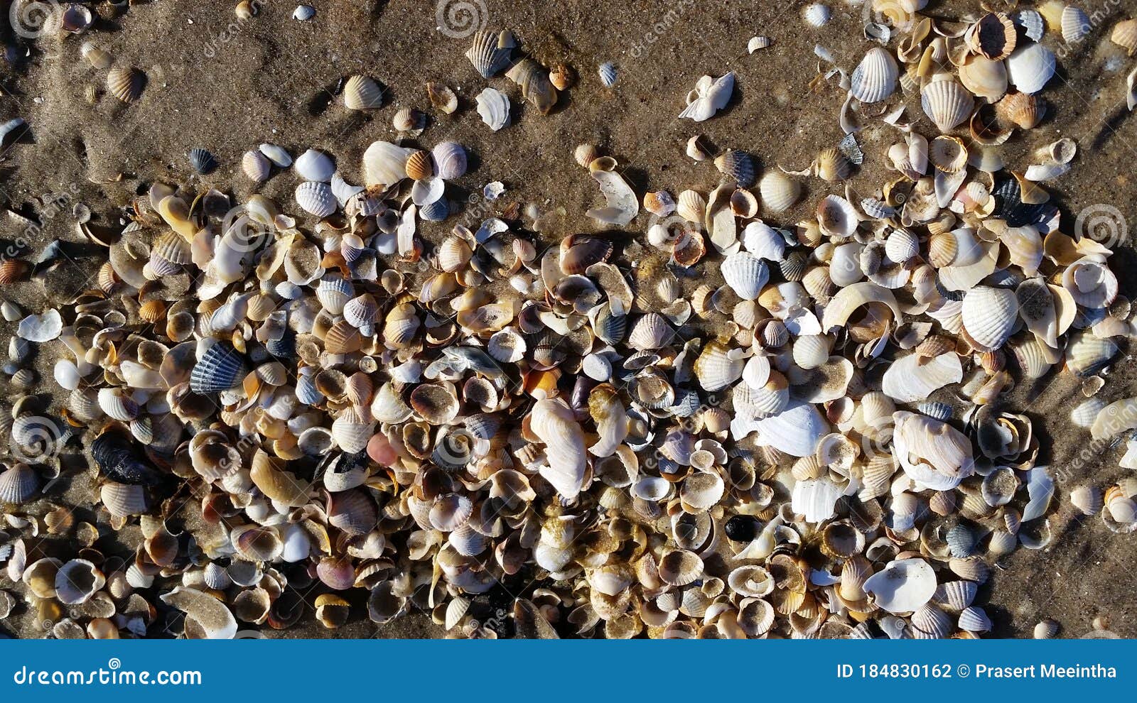 Environment Waste stock photo. Image of natural, detail - 184830162