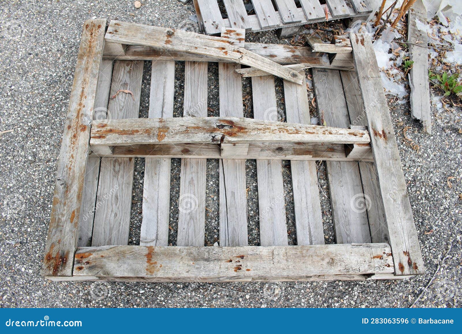 Environment wood pollution stock photo. Image of junk - 283063596