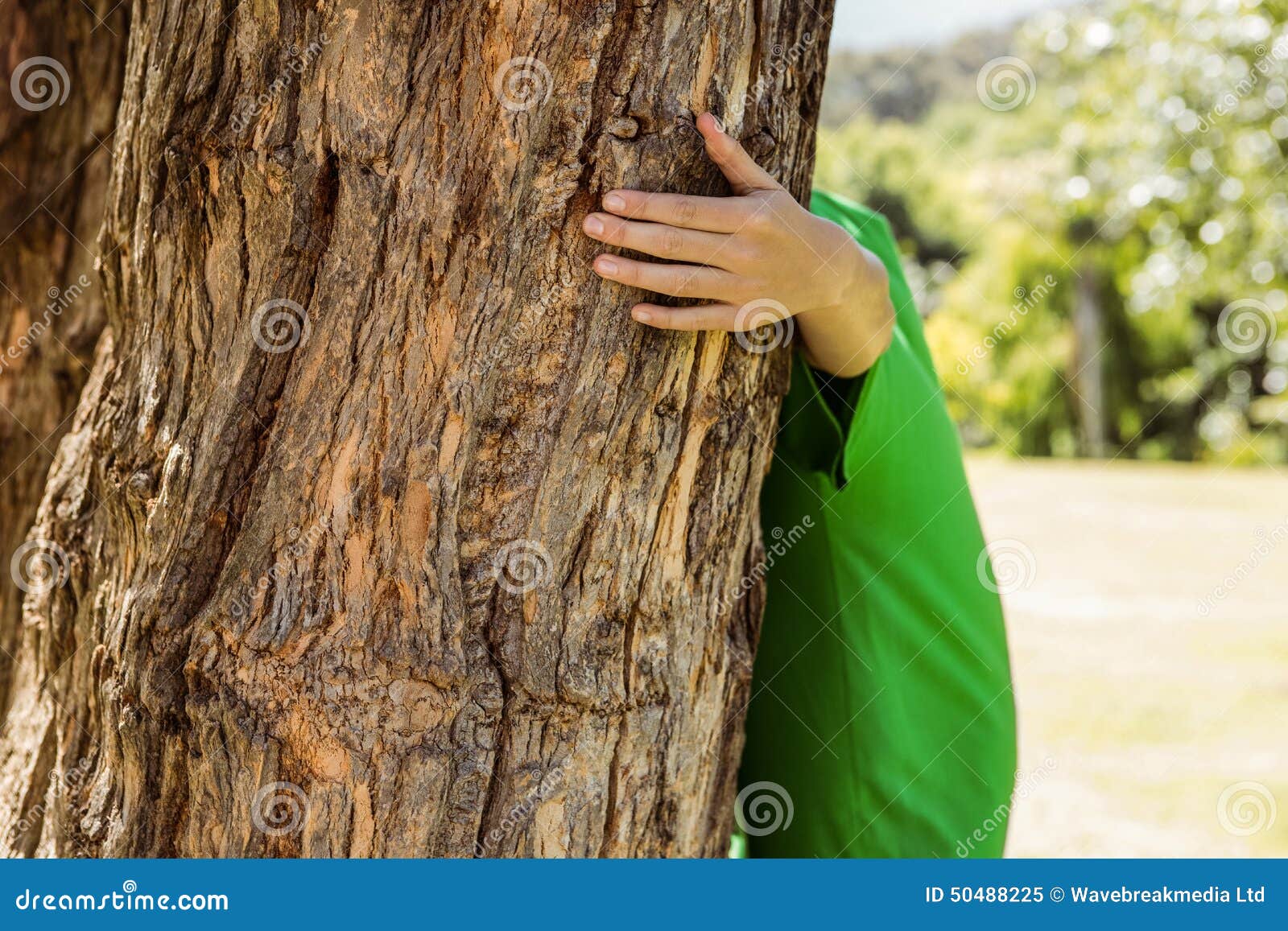 Environmental Activist Hugging a Tree Stock Image - Image of awareness ...