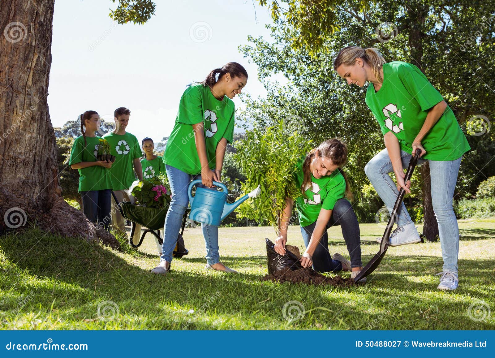 Environmental Activists Planting a Tree in the Park Stock Image - Image ...