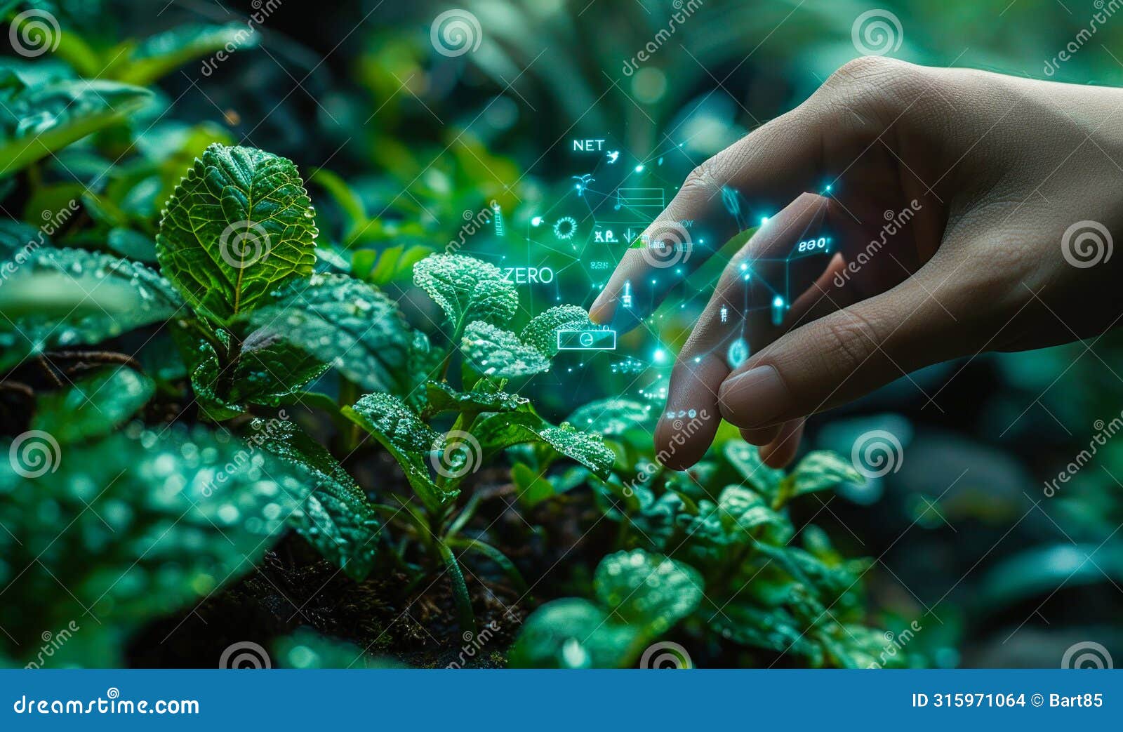 Environmental Advocate Promoting Net Zero Strategy with Sustainable ...