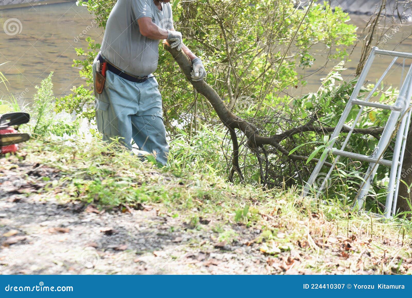 A Scene of Logging Work on the Riverbed of a Stream. Stock Image ...
