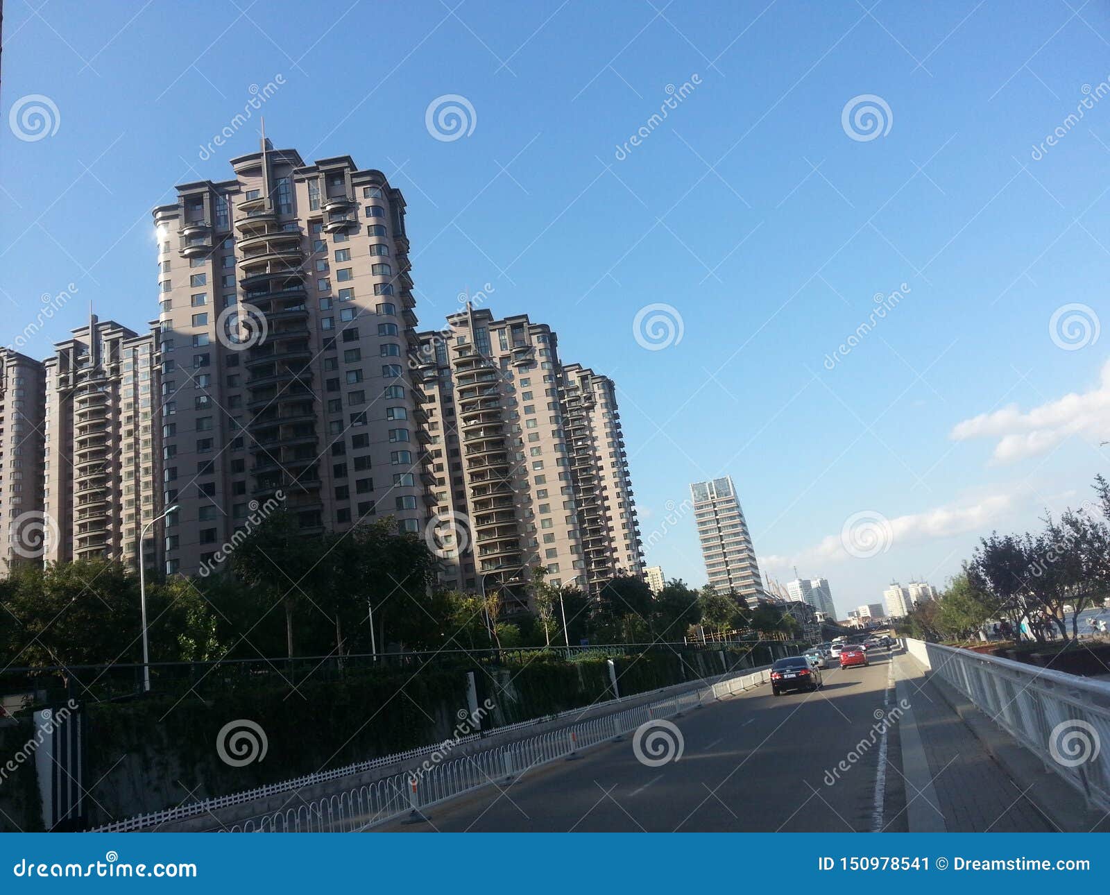 Environmental beauty editorial photo. Image of beauty - 150978541