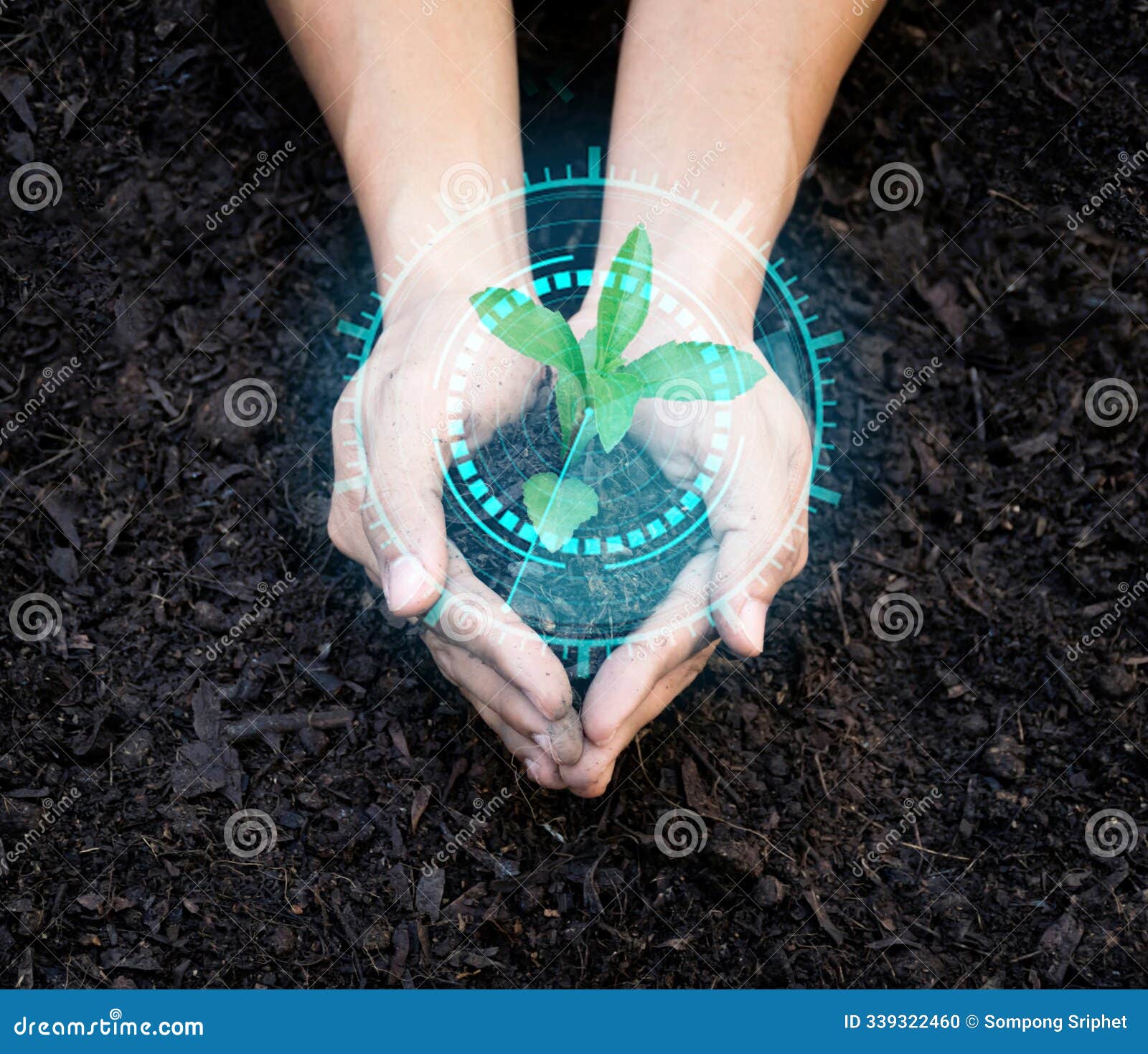 Environmental Concept, Tree Growth Tree in Hand Stock Photo - Image of ...