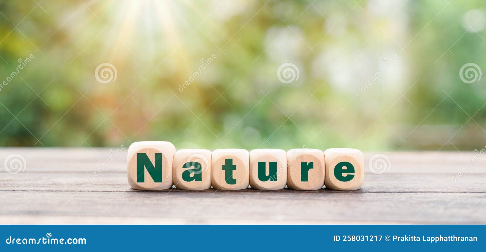 Environmental Conservation Concept, Protecting and Preserving Resources ...