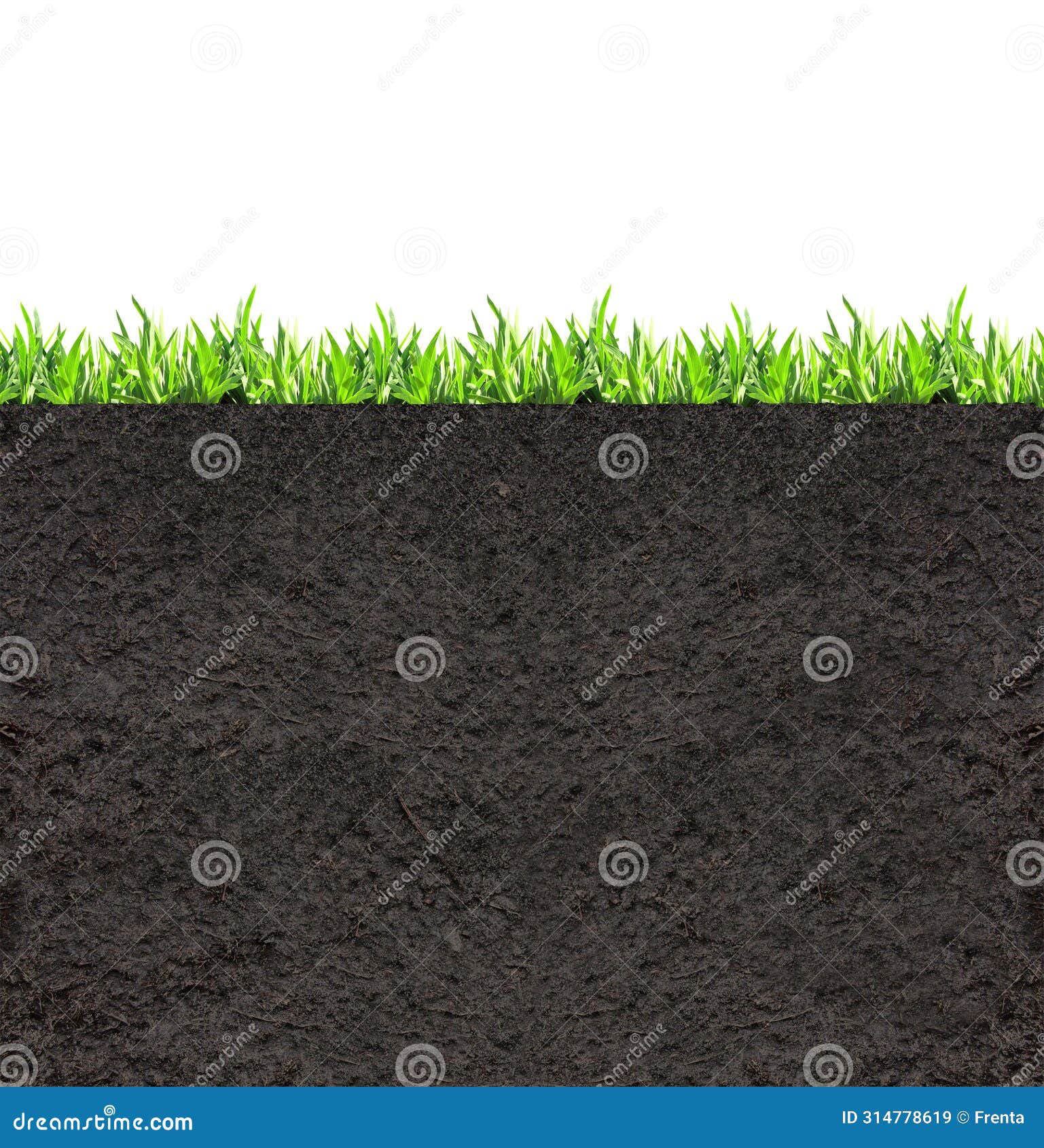 Environmental and Conservation Protection Background. Cross Section of ...