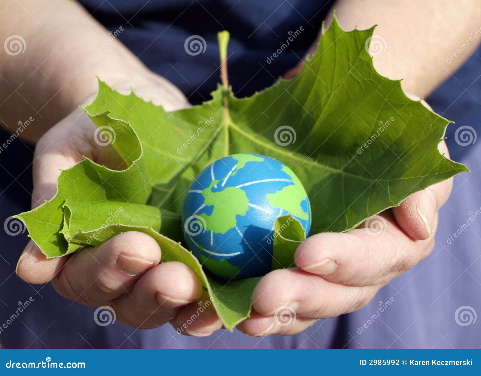 Environmental Conservation And Sustainability Stock Photo - Image: 2985992