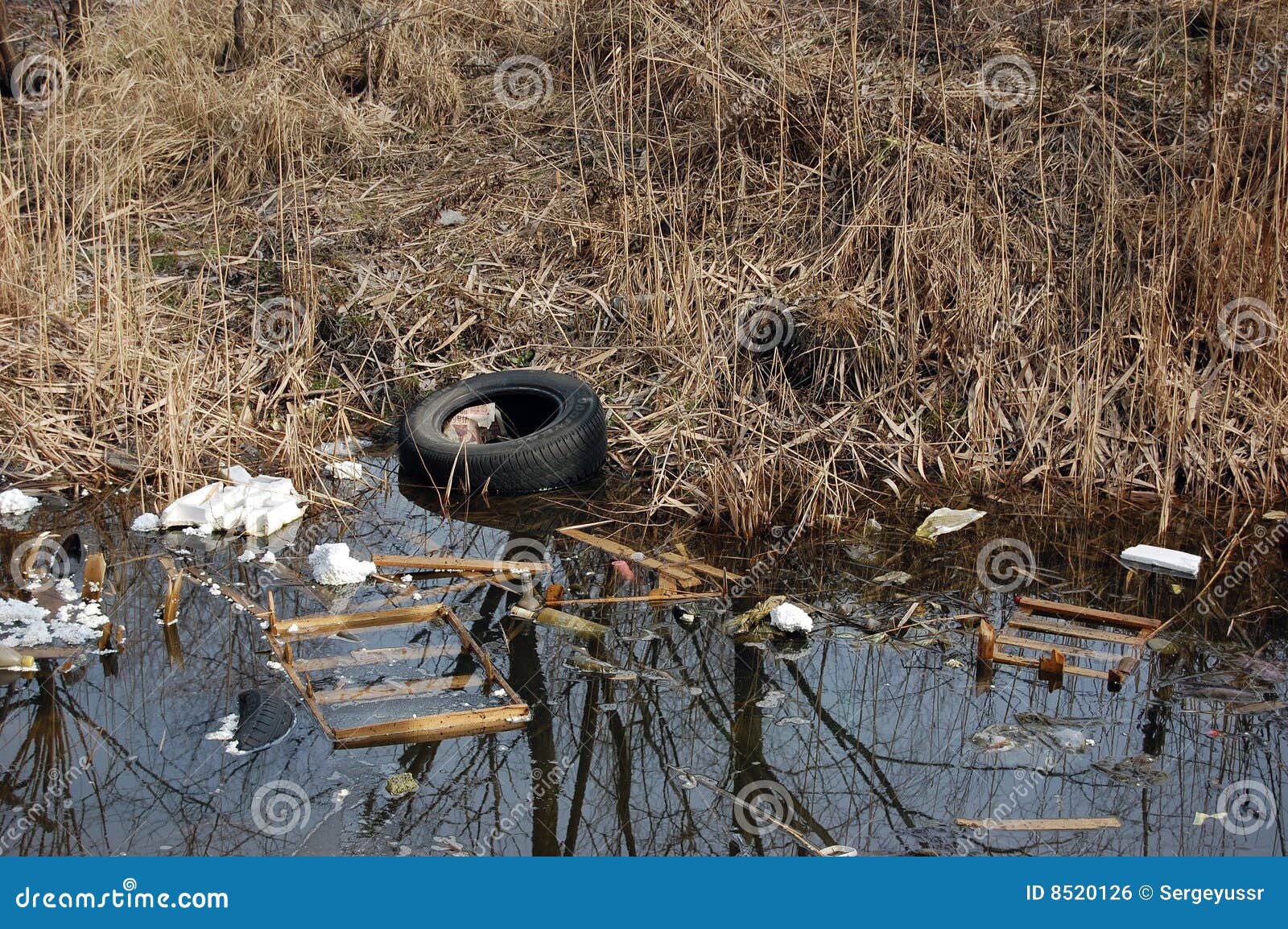 Environmental Contamination. Stock Photo - Image of pollute, polluting ...