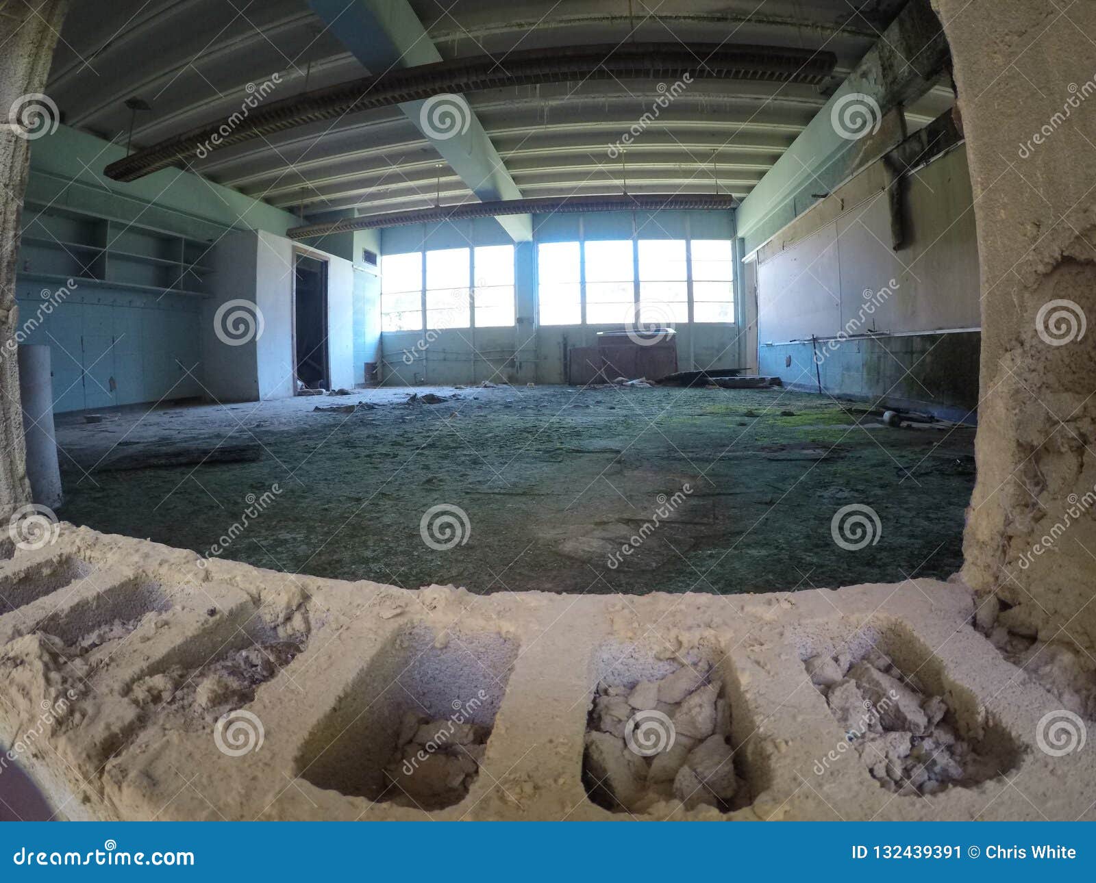 Environmental Contamination in Abandoned Building Waiting for ...
