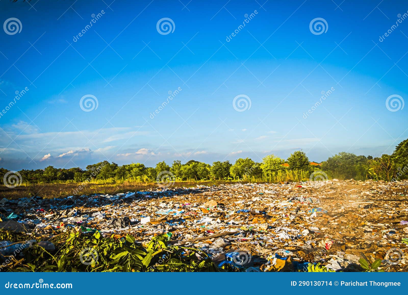 Environmental Crisis: Plastic Waste Overwhelming a Landscape of Trees ...