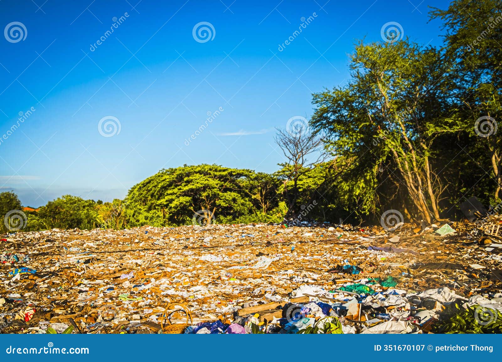 Environmental Crisis: Plastic Waste Overwhelming a Landscape of Trees ...