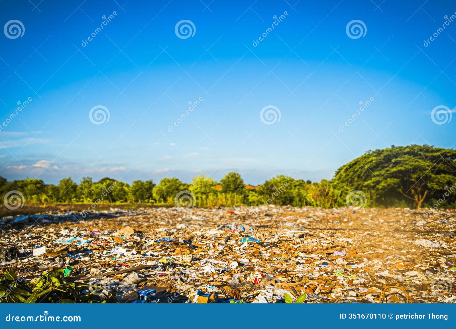 Environmental Crisis: Plastic Waste Overwhelming a Landscape of Trees ...