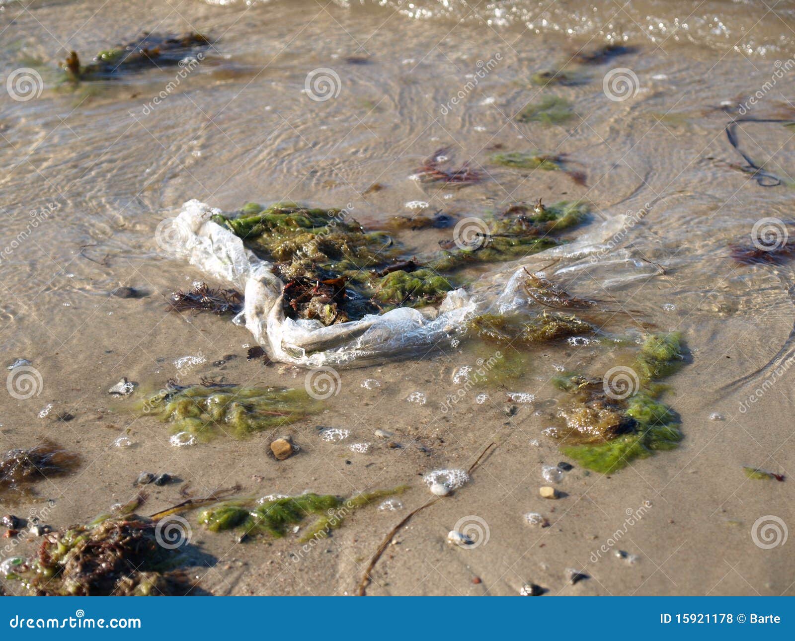 Environmental damage stock photo. Image of responsibility - 15921178