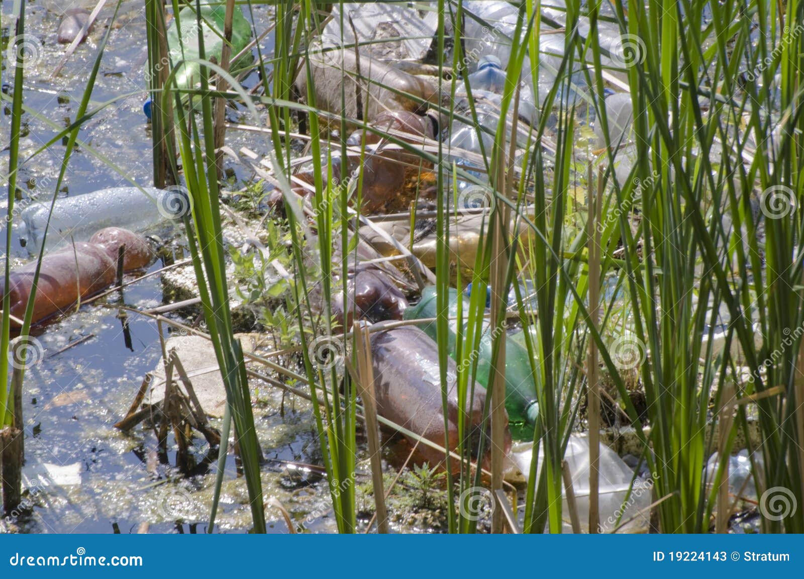 Environmental damage stock image. Image of problem, algal - 19224143