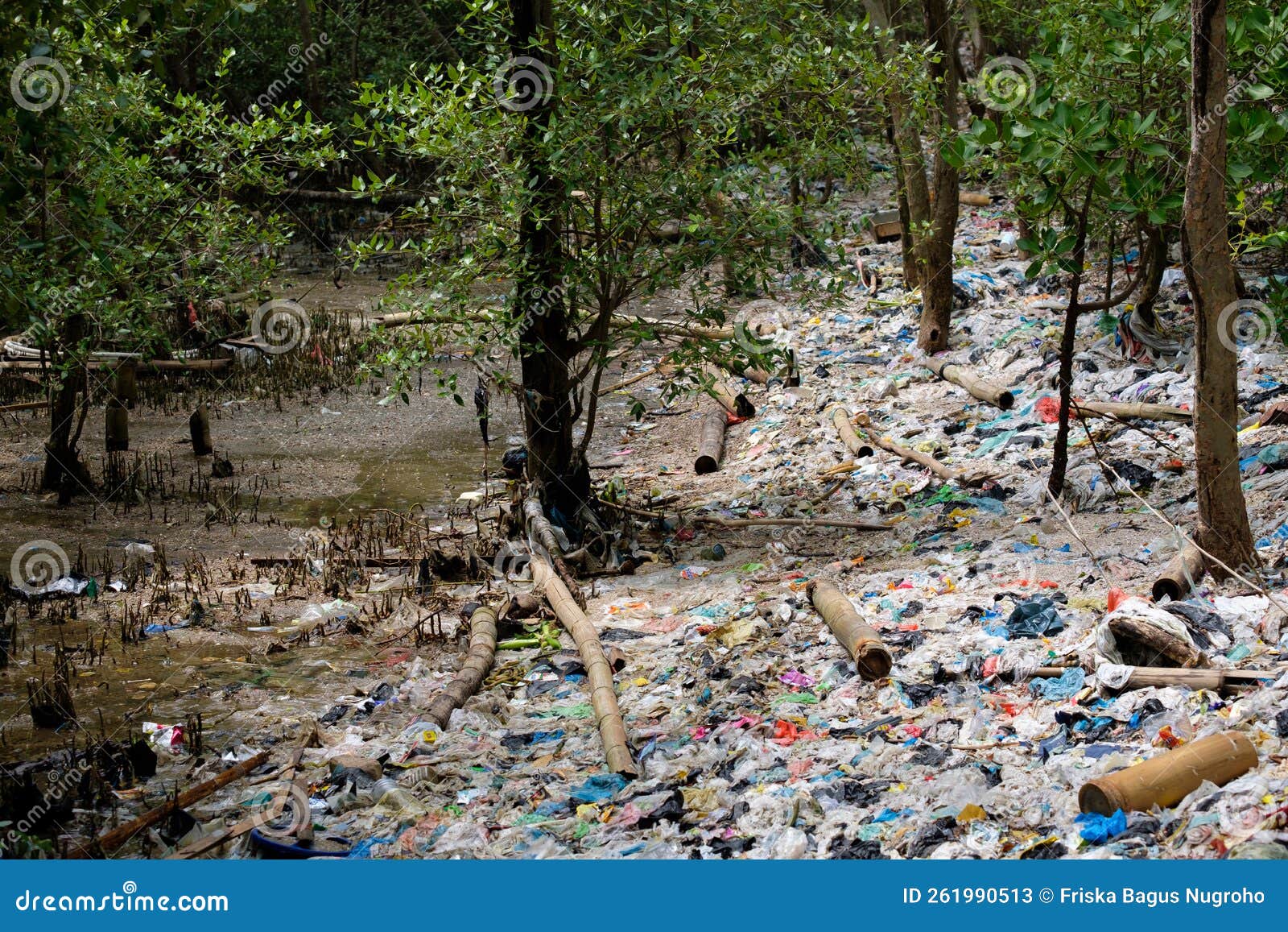 Bad Environmental Habit Of Improper Disposal Of Non-biodegradable PVC ...