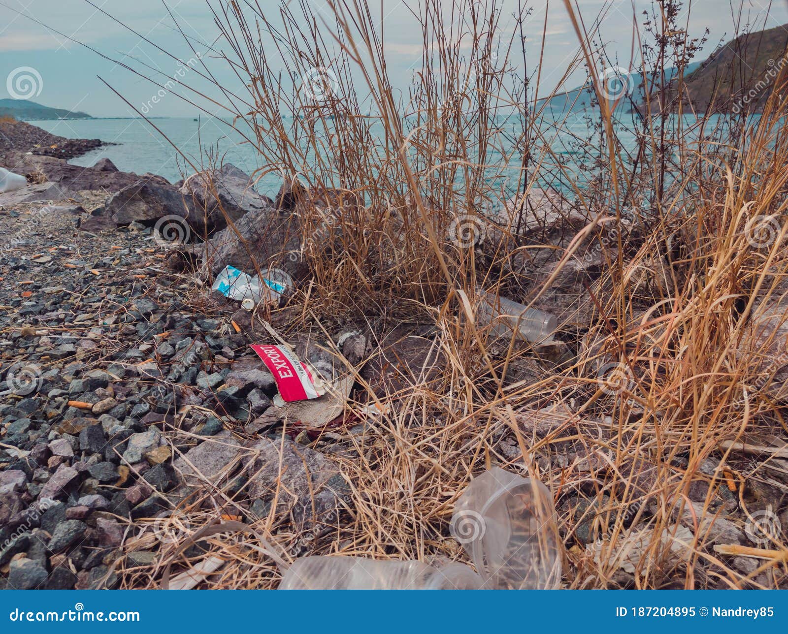 Environmental Disaster, Ecological Pollution, Garbage Scattered on the ...