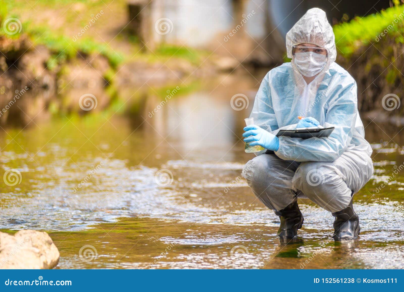 Environmental Disaster, the Profession of an Ecologist Scientist ...