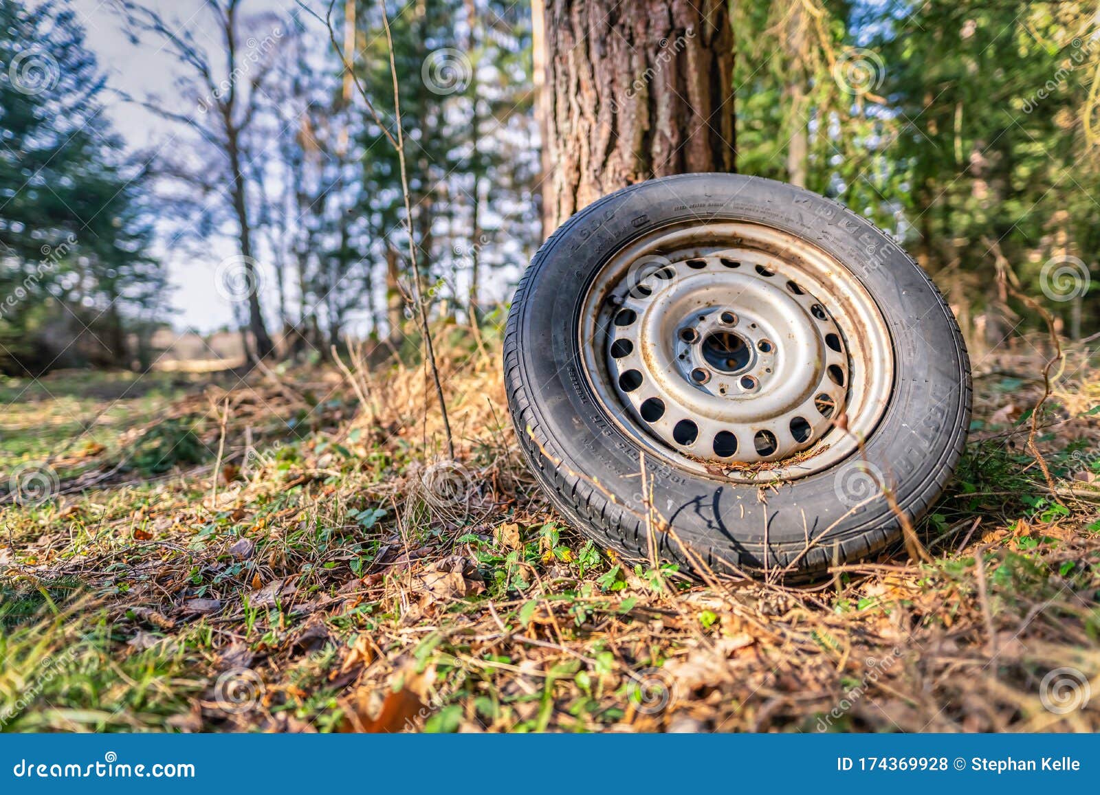 Environmental Elapse in a Forest, a Left Behind Tire in Pure Nature ...