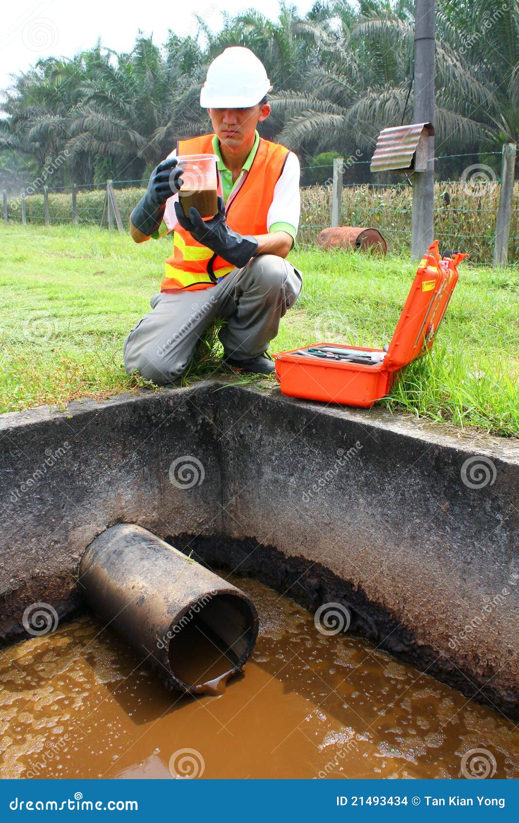 Environmental Engineer with Sample Stock Photo - Image of industrial ...