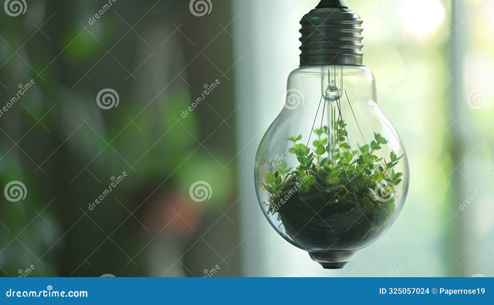 Environmental Friendly Lightbulb with Ecosystem Stock Photo - Image of ...