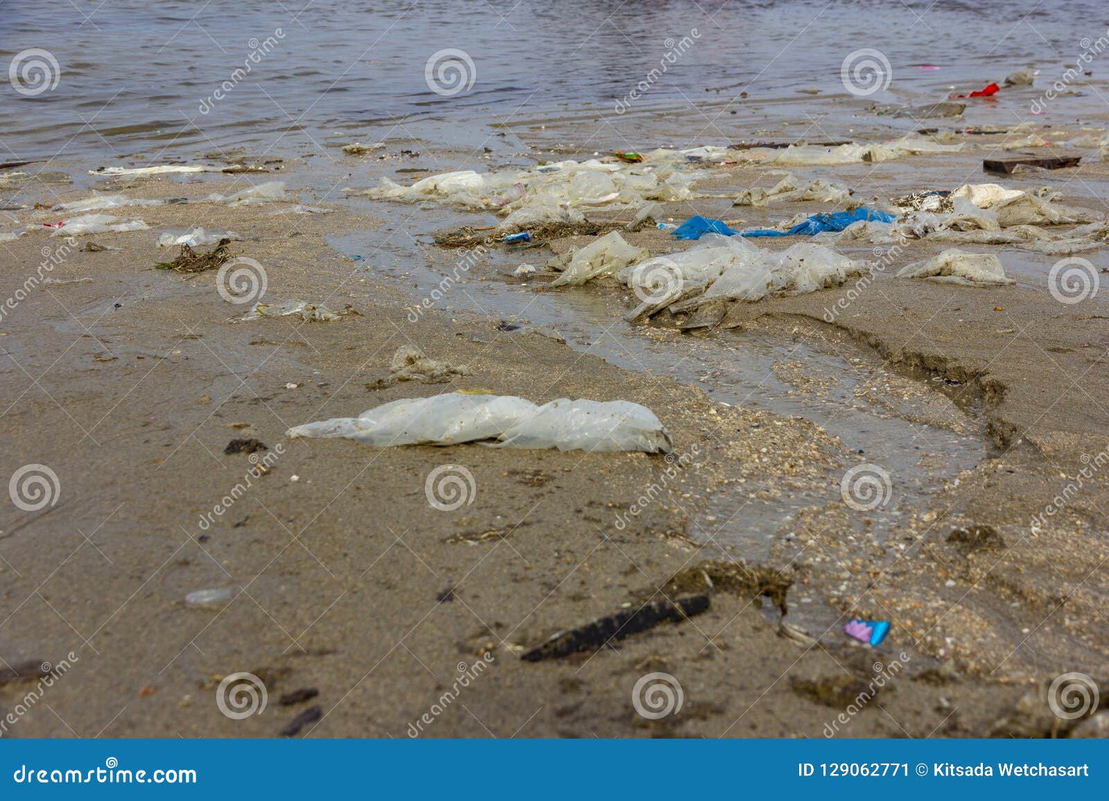 Environmental Pollution in the Beach Stock Image - Image of landscape ...