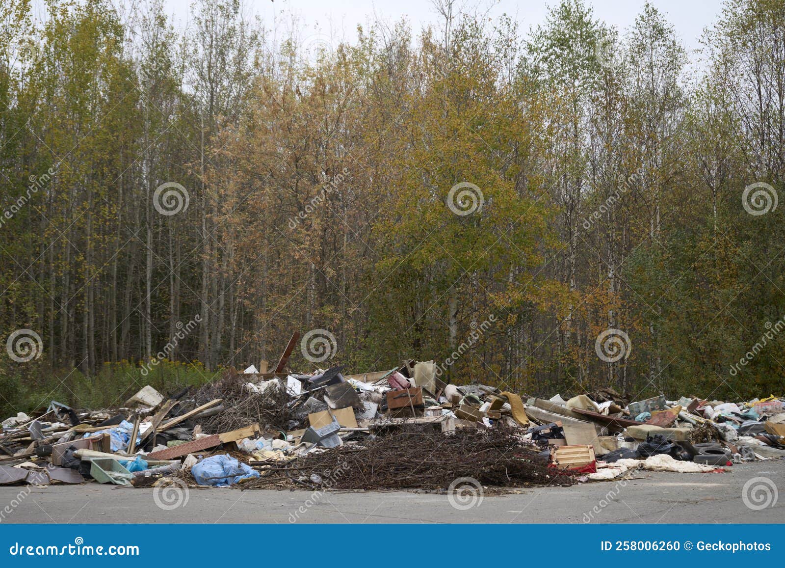 Environmental Pollution Concept, Garbage Dump in the Forest Stock Photo ...