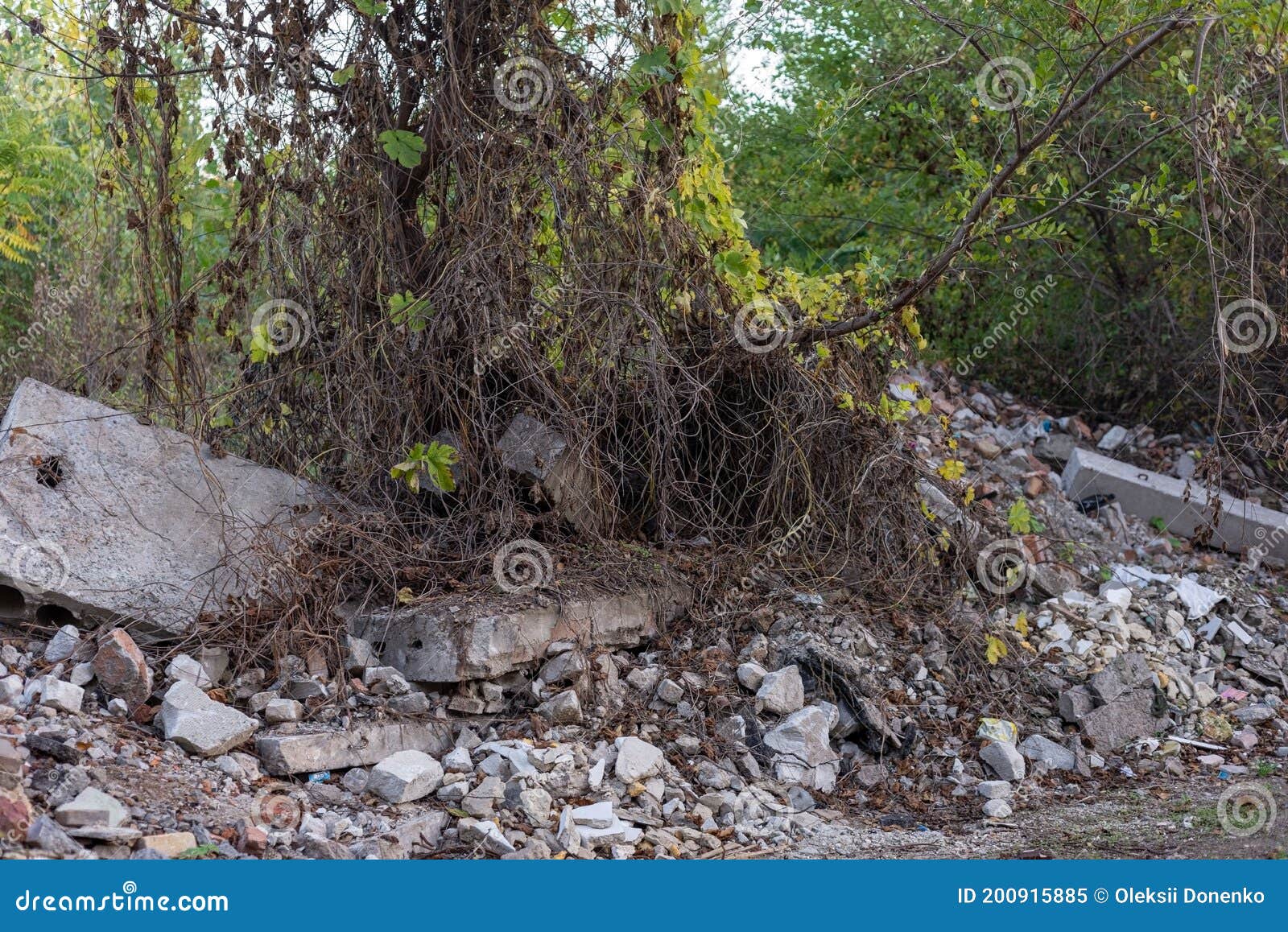 Environmental Pollution by Construction Waste Concrete Slabs Stock ...