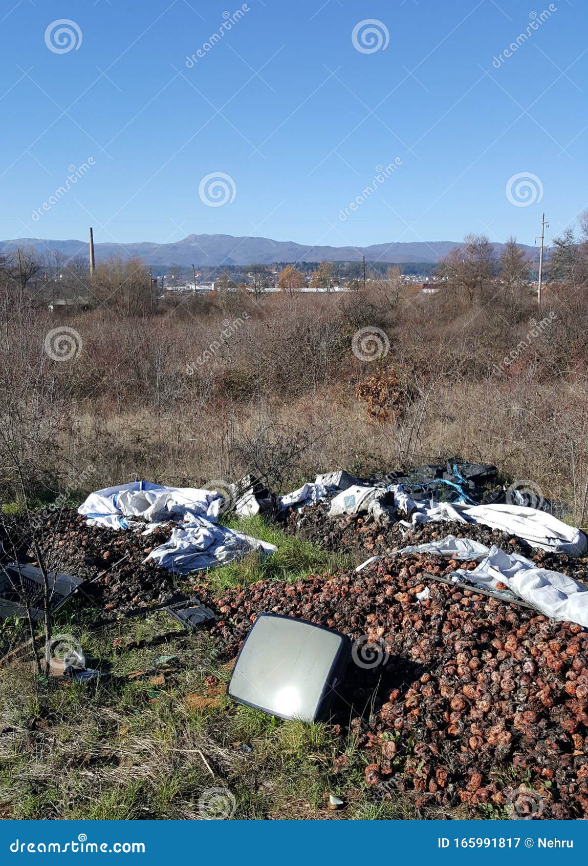 Environmental Pollution, Crt Tube, Rotten Apples and Plastic Garbage ...