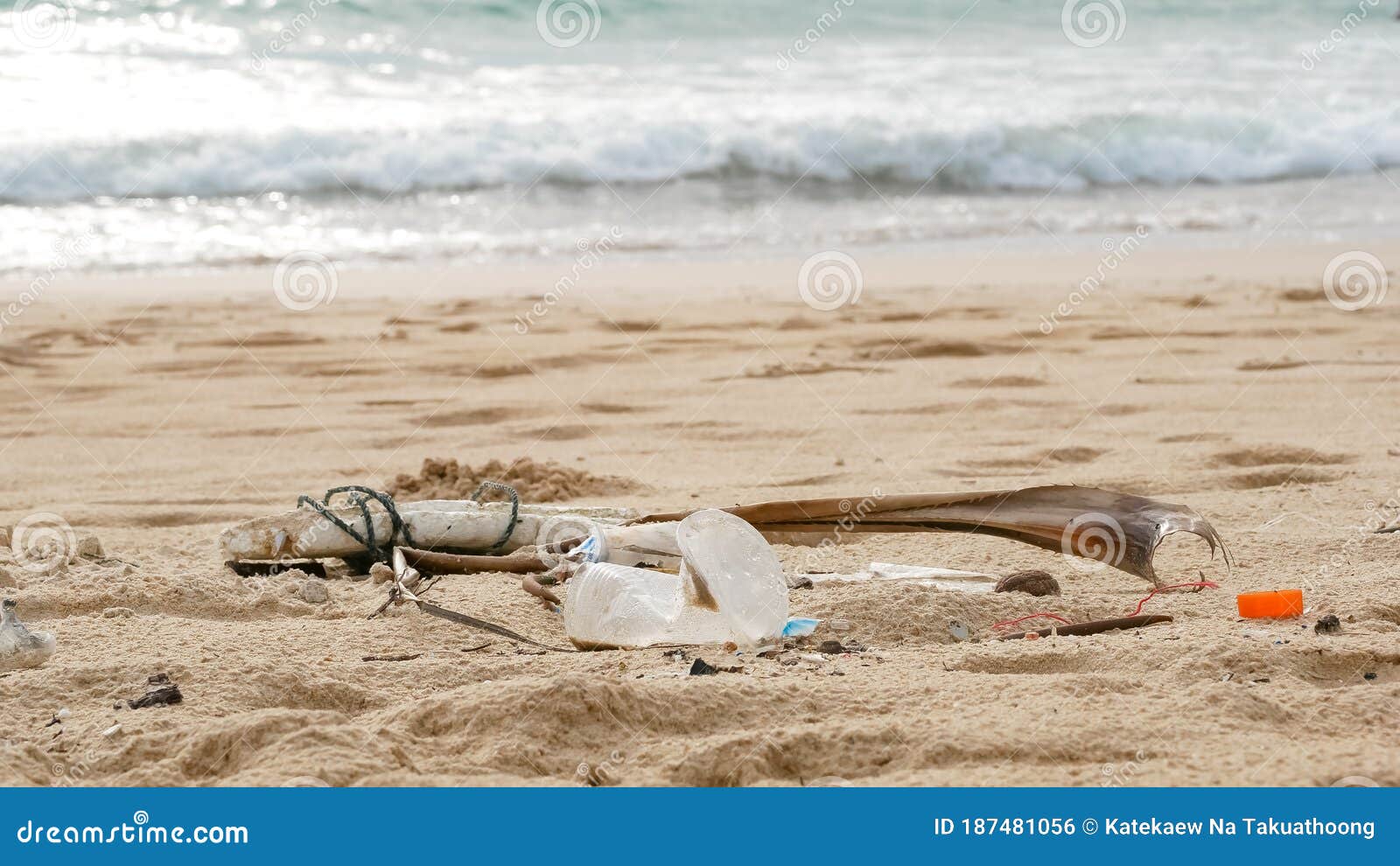 Garbage on sand beach stock photo. Image of conservation - 187481056