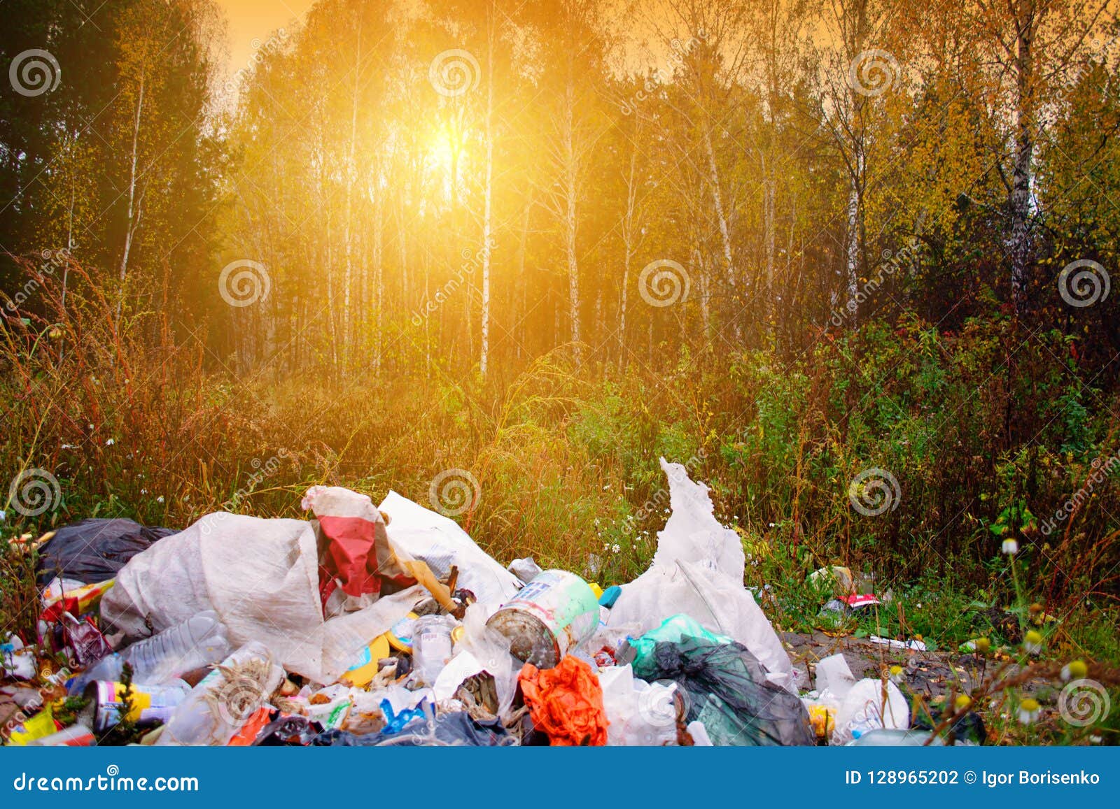 Environmental Pollution and Environmental Threat from a Pile of ...