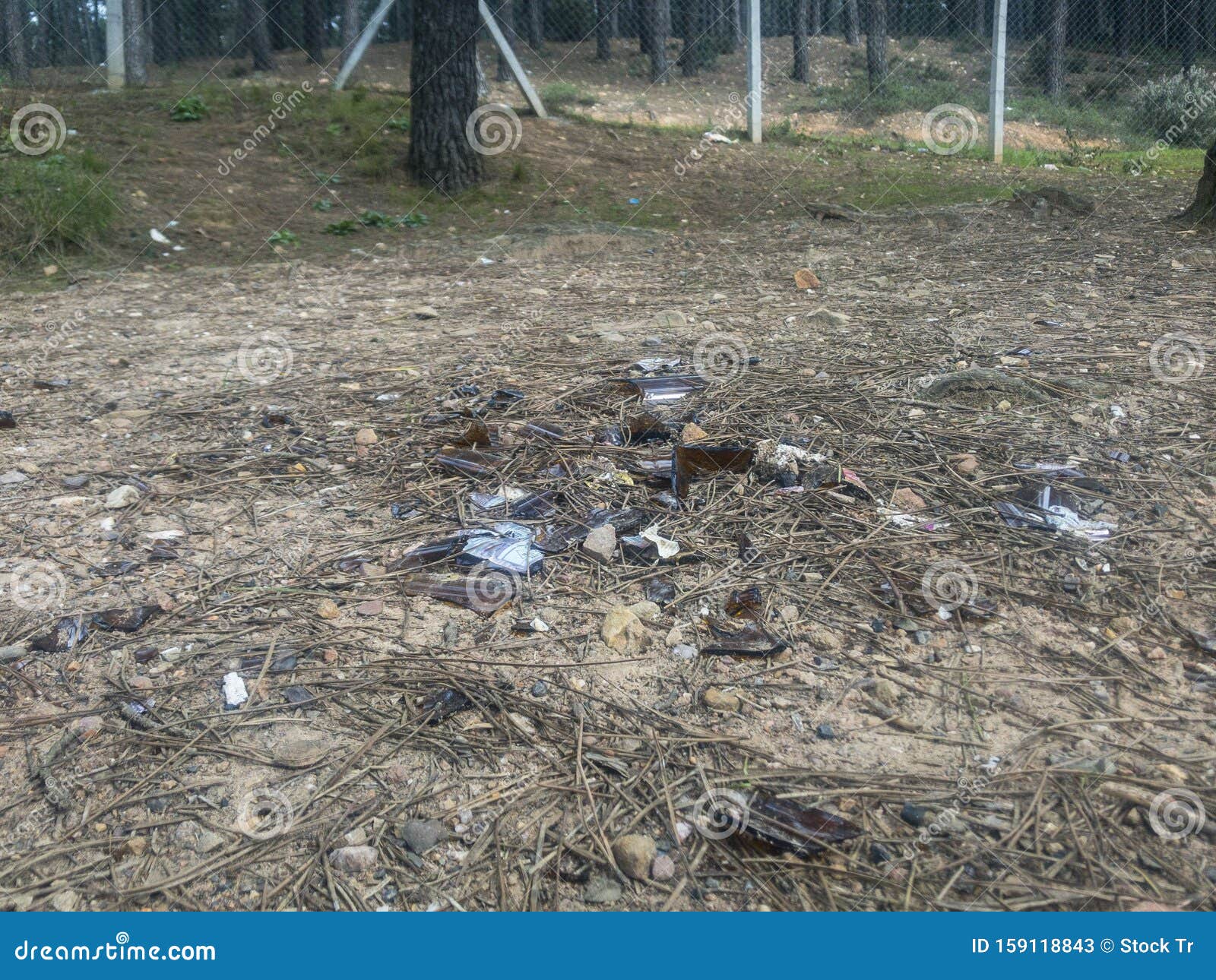 Environmental Pollution in Forests Stock Image - Image of disaster ...