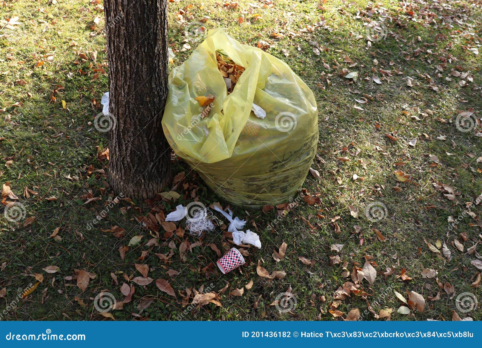 Environmental Pollution, Garbage Bag Left in the Park Stock Photo ...