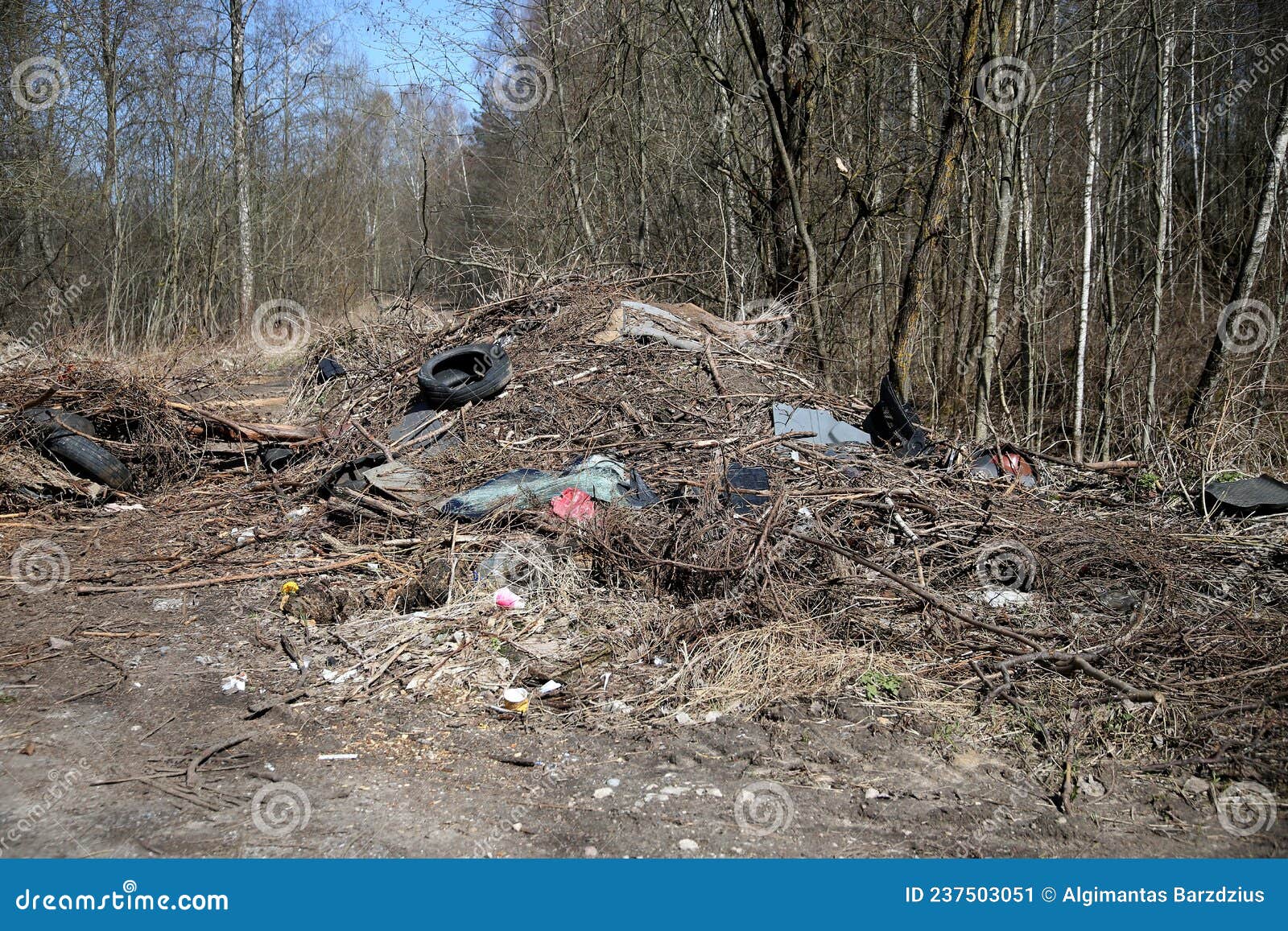 Environmental Pollution - Garbage Dump in Forest Stock Image - Image of ...