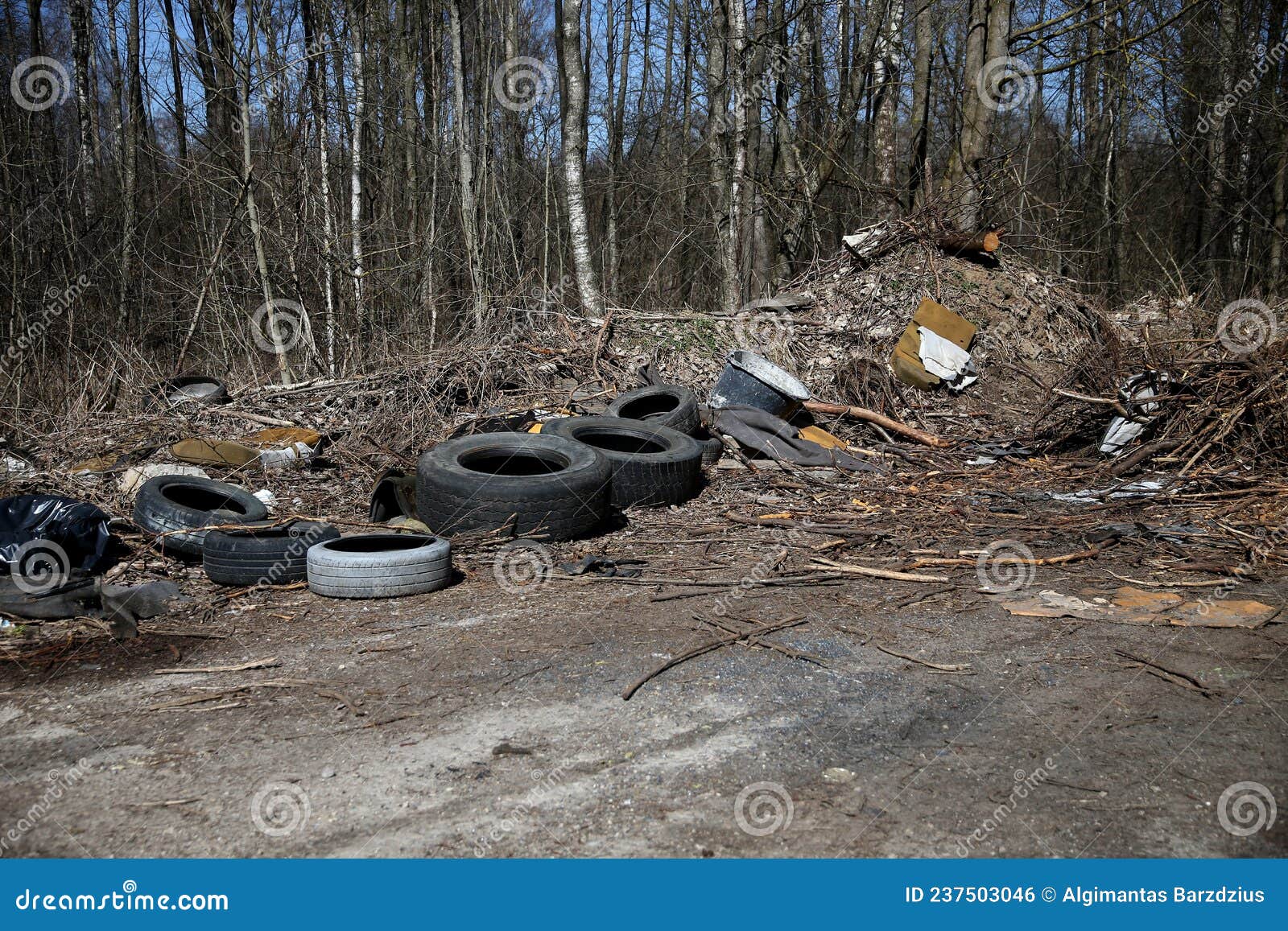 Environmental Pollution - Garbage Dump in Forest Stock Photo - Image of ...