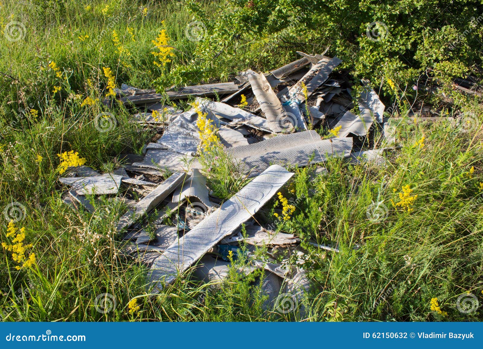 Environmental Pollution on the Grass Stock Photo - Image of rust ...