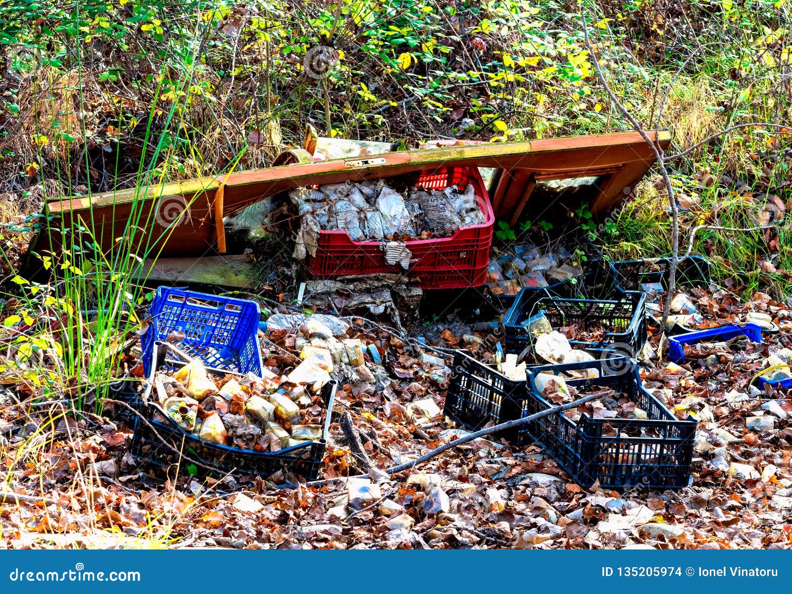 Environmental Pollution with Litter Thrown in a Forest Stock Photo ...
