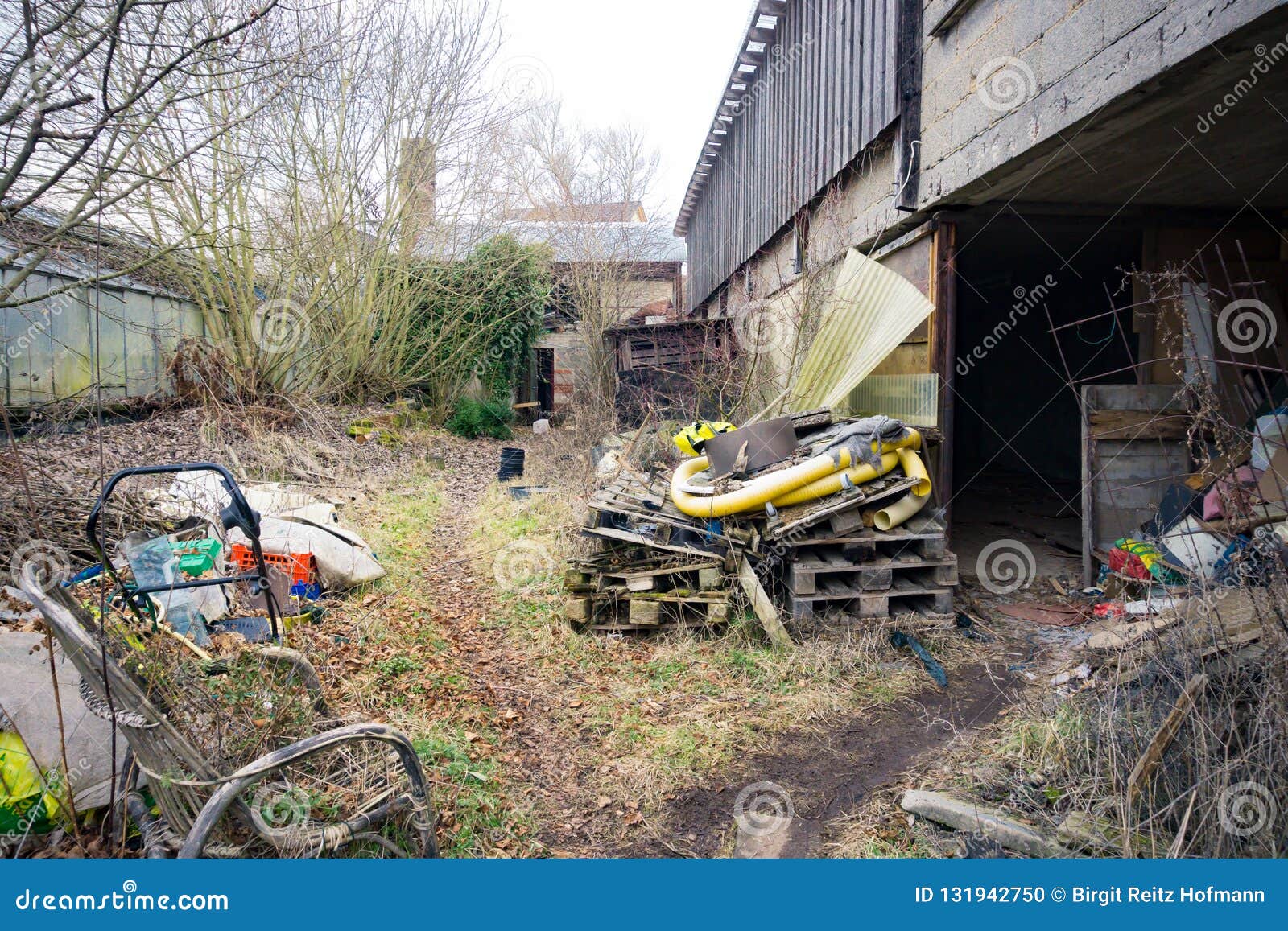 Trash in Nature stock photo. Image of environment, plastic - 131942750