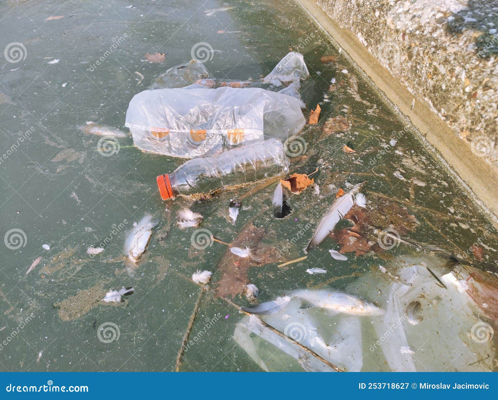 Environmental Pollution. Plastic Bottles, Bags, Trash in River or Lake ...