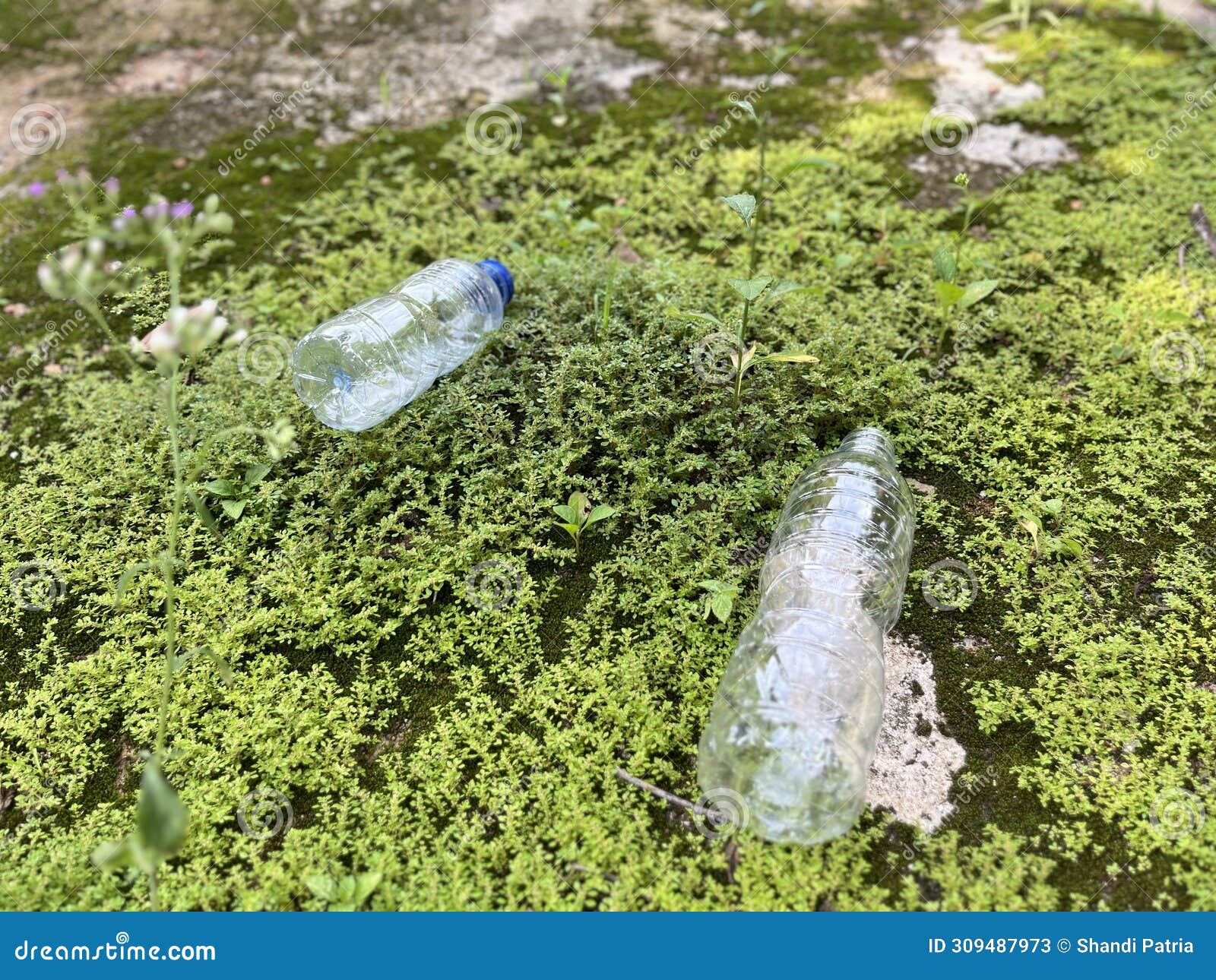 Environmental Pollution by Plastic Bottles Cause of Flooding Stock ...