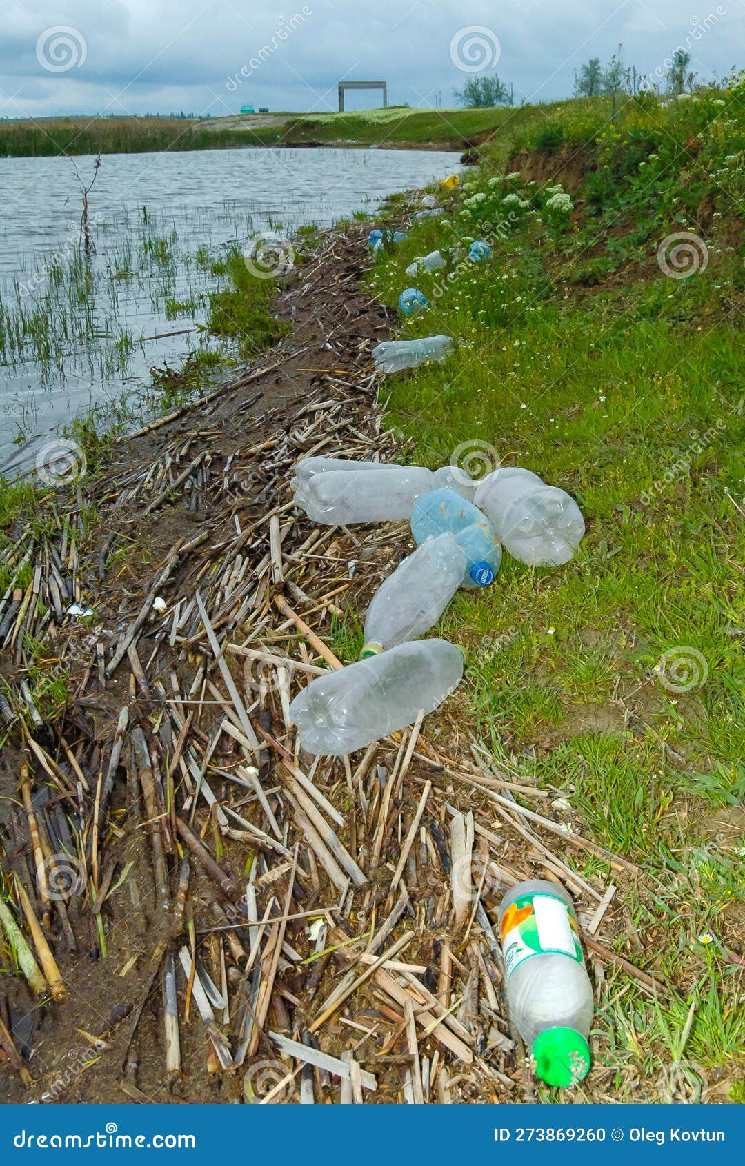 Environmental Pollution, Plastic Garbage on the Shore of Lake Yalpug ...