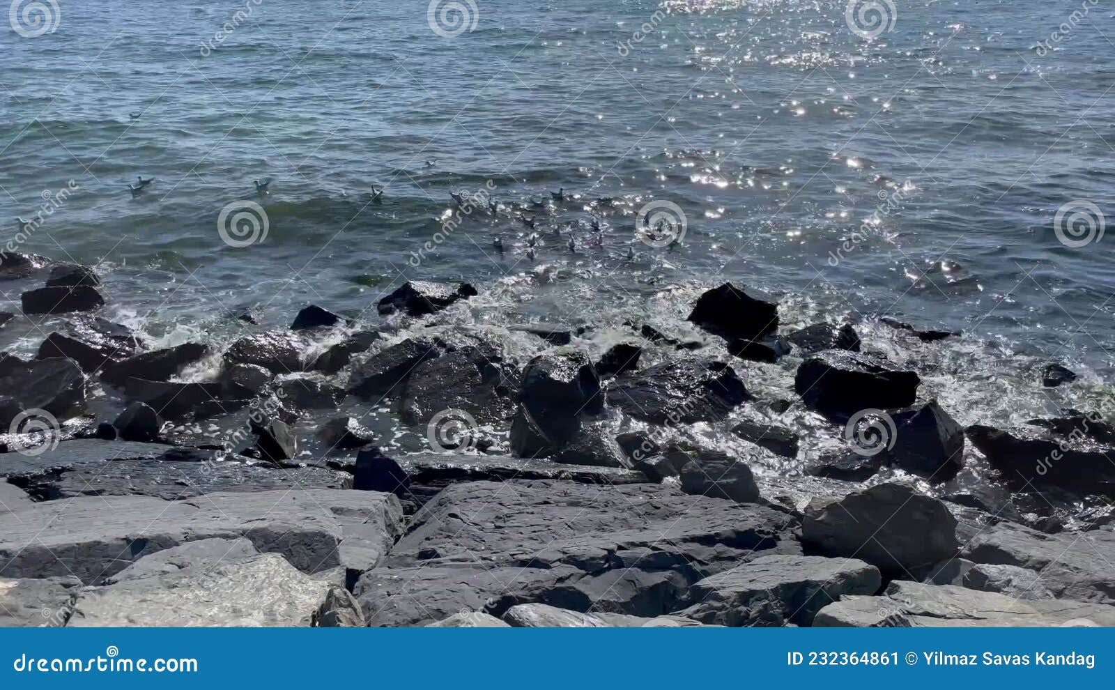 Environmental Pollution on the Seashore Stock Video - Video of discard ...