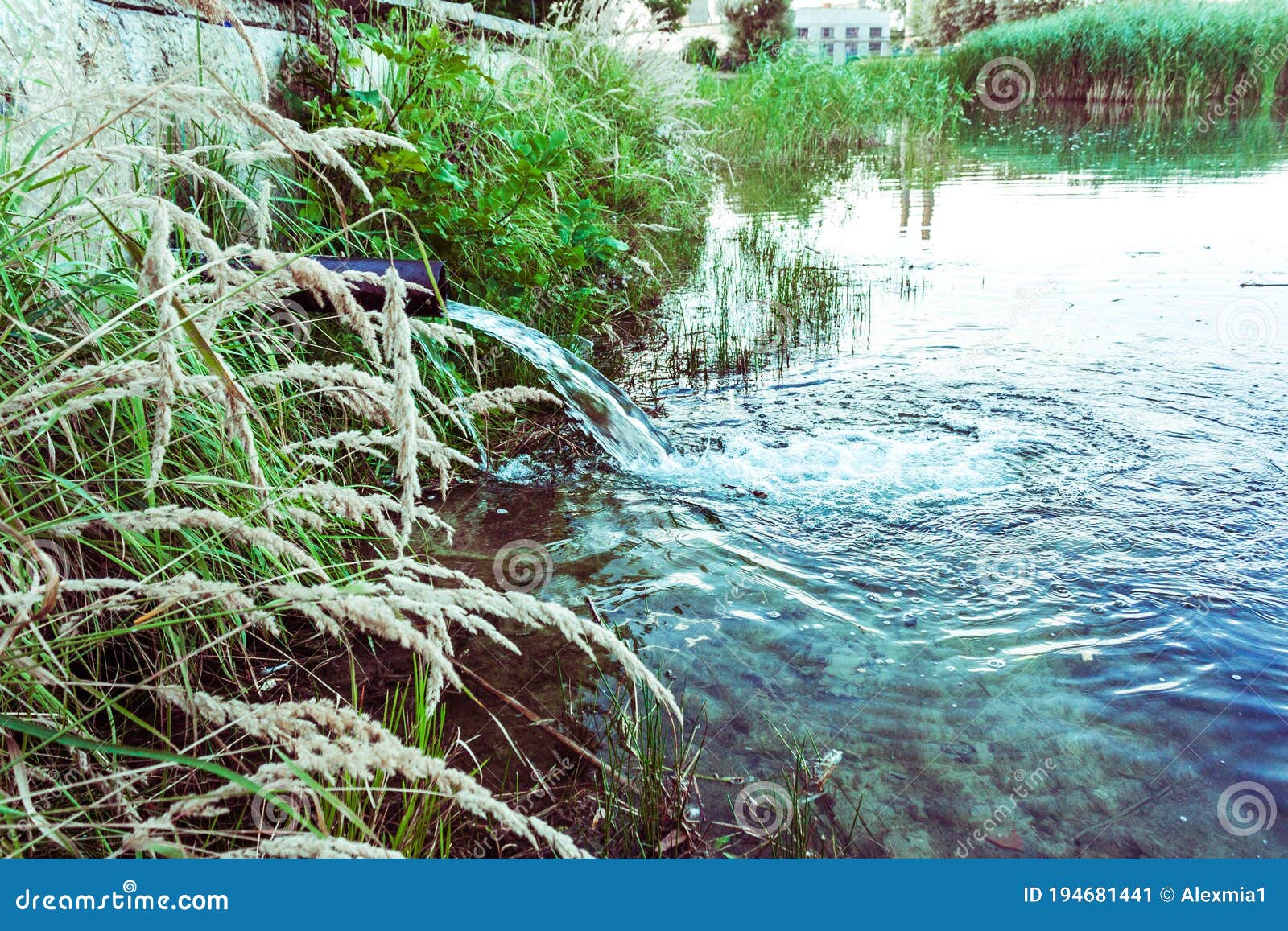 Environmental Pollution.Sewage Flows into the Lake, River Stock Image ...