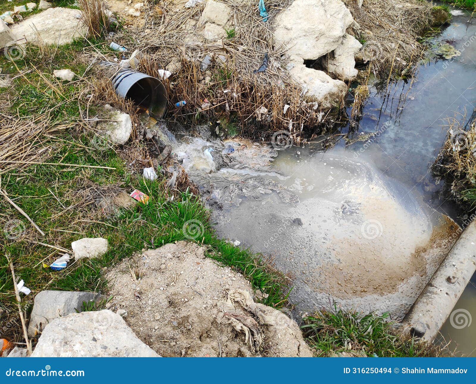 Environmental Pollution. a Sewage Pipe Drains Toxic Wastewater into a ...