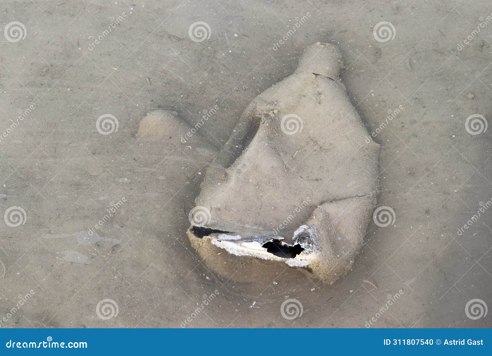Environmental Pollution in a Silted Lake with Toxic Water Stock Photo ...
