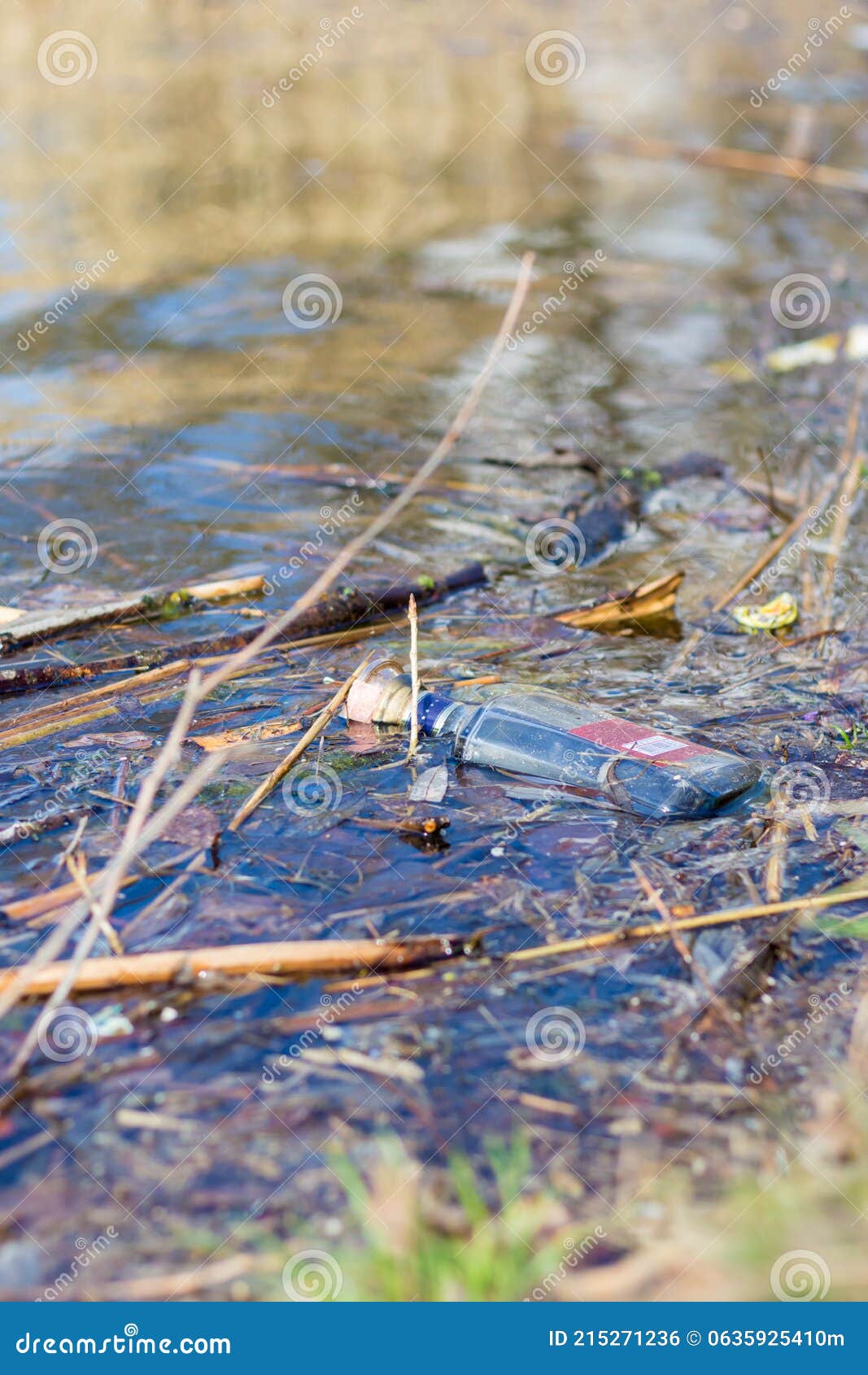 Environmental Pollution. Trash in the Lake Stock Photo - Image of ...