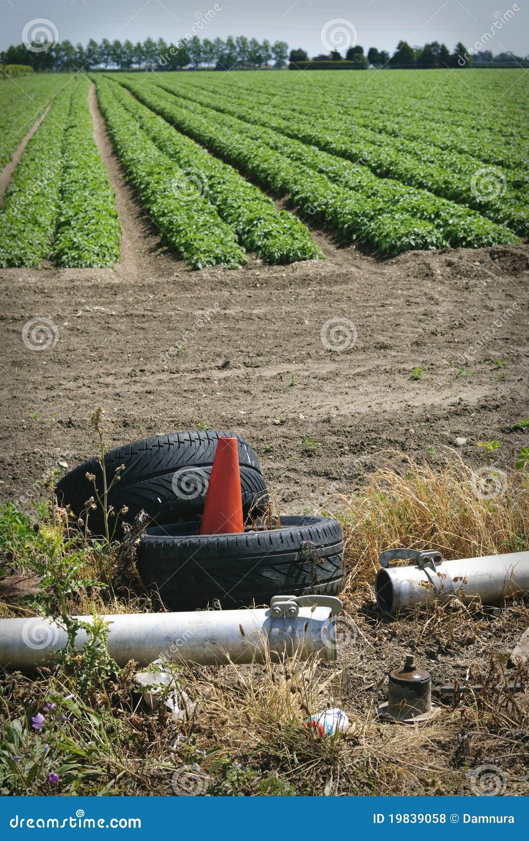 Environmental Pollution - Waste in Field Stock Photo - Image of ...