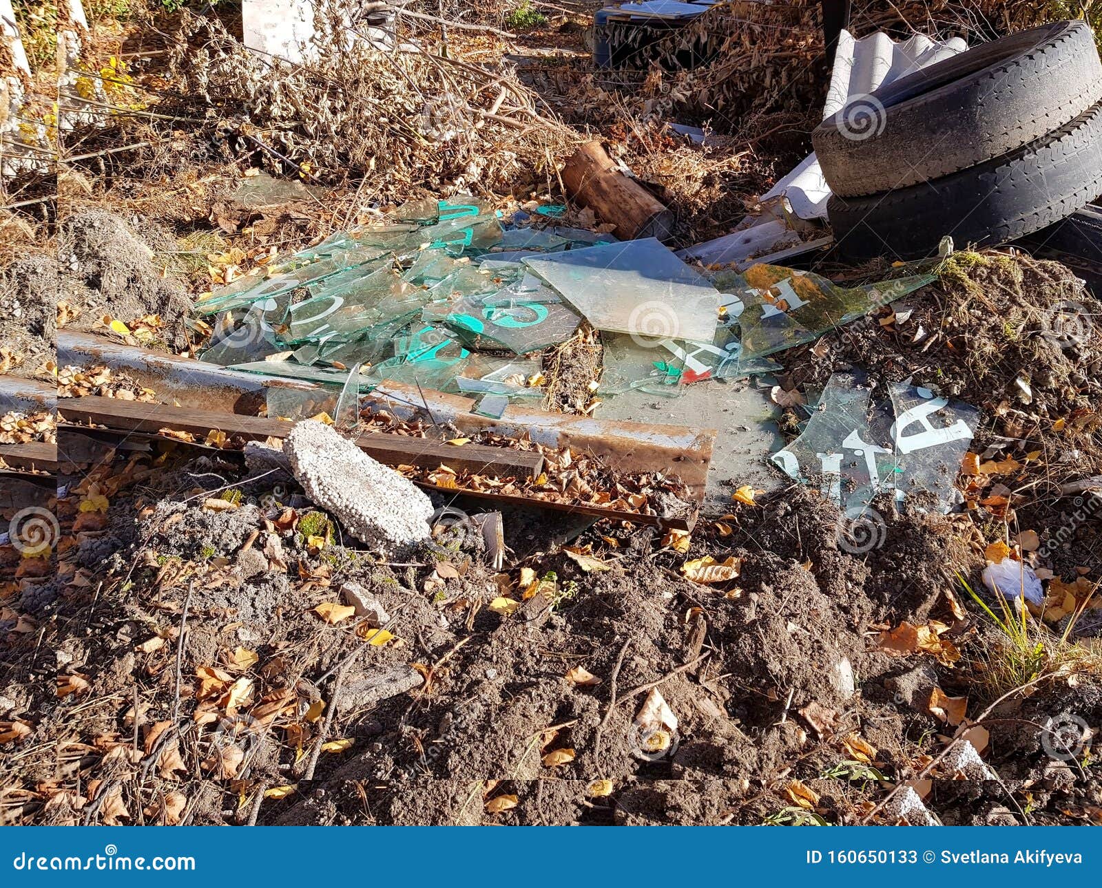 Environmental Problem. Environmental Pollution of Plastic Bag Stock ...